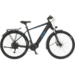 FISCHER BIKE E-Bike FISCHER FAHRRAD "TERRA 4.5i 522" E-Bikes Gr. 55cm, 29 Zoll (73,66cm), schwarz (mattschwarz) Pedelec, Elektrofahrrad für Damen u. Herren