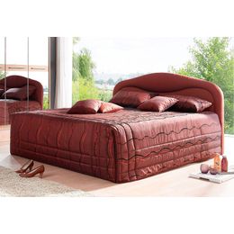 Tagesdecke Westfalia Schlafkomfort Tagesdecken Gr. B/L: 277cm x 250cm, rot (bordeaux)