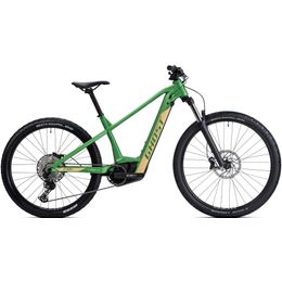 E-Bike GHOST "E-Teru B Advanced" E-Bikes Gr. 43cm, 29 Zoll (73,66cm), grün (beige, khaki, schwarz) Pedelec, Elektrofahrrad für Damen u. Herren, MTB