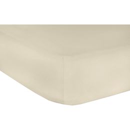 Spannbettlaken Mr. Sandman "Jersey Classic" Laken Gr. B/L: 180-200cm x 200cm, Single-Jersey, 180-200x200cm 25cm, beige (natur) aus 100% Baumwolle