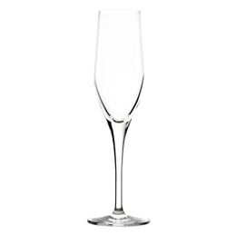 Sektglas STÖLZLE "Exquisit" Trinkgefäße Gr. 22,1cm, 175 ml, 6 tlg., farblos (transparent) 6-teilig