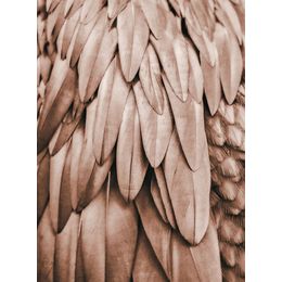 Livingwalls Fototapete LIVING WALLS "ARTist Feathers", rosa (kupferfarben, orange), B:2m L:2,7m, Vlies, Tapeten, Vlies, Wand, Schräge