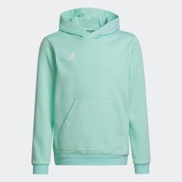 Kapuzensweatshirt adidas Performance "ENT22 HOODY Y" Gr. 116, grün (clear mint) Kinder Sweatshirts