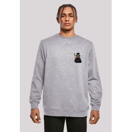 Kapuzenpullover F4NT4STIC "Wizard Cat CREW" Gr. L, grau (heather grey) Herren Pullover Print