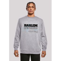 Kapuzenpullover F4NT4STIC "Harlem CREW" Gr. XXL, grau (heather grey) Herren Pullover Print