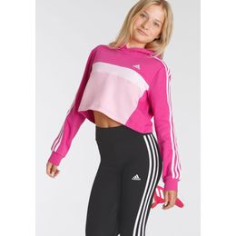 Trainingsanzug adidas Sportswear "TIBERIO 3STREIFEN COLORBLOCK KIDS" Gr. 152, rosa (semi lucid fuchsia, white, white) Kinder Sportanzüge