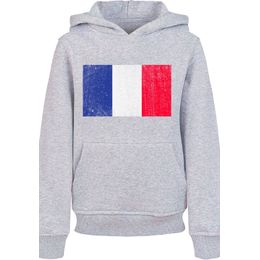 Kapuzenpullover F4NT4STIC "France Frankreich Flagge distressed" Gr. 122/128, grau (erdgrau), Mädchen, Obermaterial: 65% Baumwolle, 35% Polyester, Pullover, Print