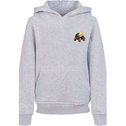 Kapuzenpullover F4NT4STIC "Rainbow Turtle HOODIE UNISEX" Gr. 122/128, grau (erdgrau), Mädchen, Obermaterial: 65% Baumwolle, 35% Polyester, Pullover, Print