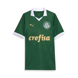 Trainingsshirt Puma "Palmeiras Fans 2024 Heimtrikot Herren" Gr. XXL, grün (power green) Herren Shirts