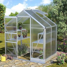 Vitavia Gew&auml;chshaus Apollo Tomatenhaus Silber, 4 mm, 137x195x207 cm (LxBxH)