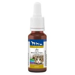 HAGER PHARMA Bachblüten Tiere Tropfen Angst 20 ml