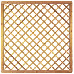 TETZNER & JENTZSCH T&J Sichtschutzzaun Avantgarde Diagonal Rankgitter Sichtschutz, 180x180 cm