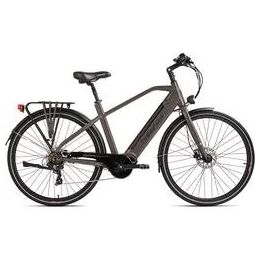 E-Bike HOLLANDIA "Mantova" E-Bikes Gr. 52cm, 28 Zoll (71,12cm), grau Pedelec, Elektrofahrrad für Damen u. Herren