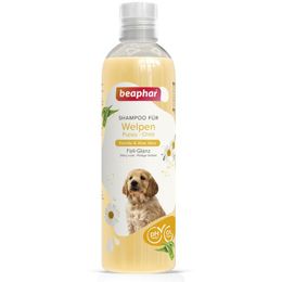 Shampoo für Welpen - 250 ml - beaphar