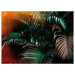 Livingwalls Fototapete LIVING WALLS "Jungle Vlies", bunt, B:3,5m L:2,55m, Vlies, Tapeten, 350 x 255 cm