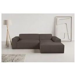 Ecksofa Inosign "Zeus-L" Sofas Gr. B/H/T: 253cm x 70cm x 188cm, Struktur fein + weich, Ottomane rechts, braun (espresso) Curvy Trend Ecksofa mit urbaner Optik