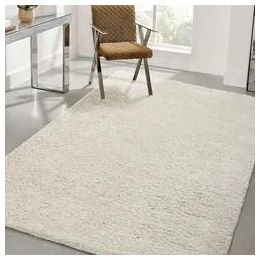 Hochflor-Teppich MERINOS "Recycle Floki 961", beige (creme), B:160cm H:50mm L:230cm, Polyester, Teppiche, Shaggy aus recyceltem Polyester, nachhaltig, meliert, Wohnzimmer