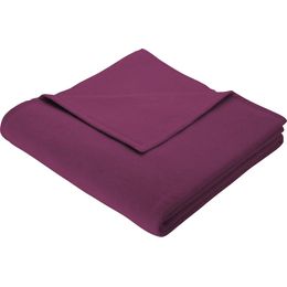 Wohndecke Biederlack, B:150cm L:220cm, lila, Baumwolle, Polyacryl, Wohndecken, "Cotton Home", im Uni Design, Kuscheldecke