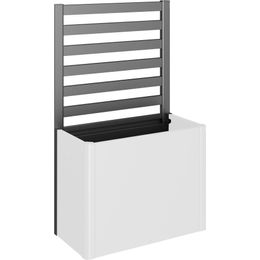 Rankgitter BioHort, B:102cm H:91cm, grau, Stahlblech, Rankhilfen, f&uuml;r Hochbeet DaVinci 100