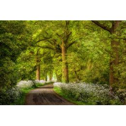 Fototapete "Cow Parsley", B/L: 4mm x 2,7mm, bunt, ARCHITECTS PAPER, Tapeten, Vlies, Wand, Schräge
