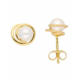 Adelia&acute;s ADELIA ́S Damen Paar Ohrh&auml;nger "1 Paar 333 Gold Ohrringe / Ohrstecker mit S&uuml;&szlig;wasser Zuchtperle", Damen, Gold, gold, Gold, Ohrringe, 333 Gold mit