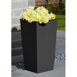 Blumentopf Prosperplast, B:33cm H:61cm T:33cm, grau, Kunststoff, Garten, Pflanzgef&auml;&szlig;e, "Rato Square 325", BxTxH: 33x33x61 cm