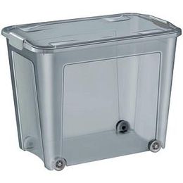 CEP Shadow Aufbewahrungsbox 67,0 l grau-transparent 38,0 x 59,3 x 47,0 cm