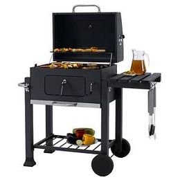 Tepro Holzkohlegrill Toronto 115,0 x 67,0 x 107,0 cm