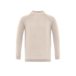 Dandalo Pullover Herren Gr&ouml;&szlig;e L beige