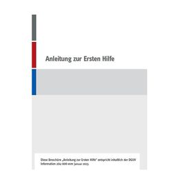Erste-Hilfe-Brosch&uuml;re, nach BGI 503, mit Erste-Hilfe-Sofortma&szlig;nahmen, ab 8 Stk kaiserkraft