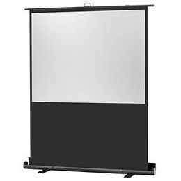 Celexon mobile Leinwand Ultramobil Plus Professional 16:9, 114 x 64 cm Projektionsfläche