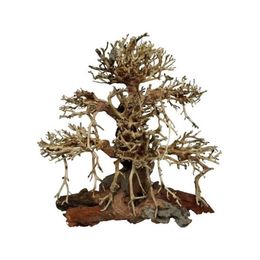 4FISH Tree roots Old Bonsai 40x20x40 cm