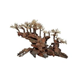 4FISH Tree roots Water bridge 60x30x40 cm