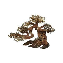 4FISH Bonsai tree roots 30x15x23 cm