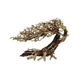 4FISH Tree roots Elegant Brazilian tree 30x13x23