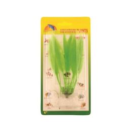 Meadow Amazon sword plant plastic 10 cm