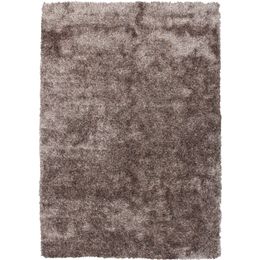 Hochflor-Teppich Bruno Banani "Alga" Teppiche Gr. B: 240cm, 40mm, L: 330cm, grau (taupe) Uni, Shaggy, Langflor, besonders weich und kuschelig, Wohnzimmer