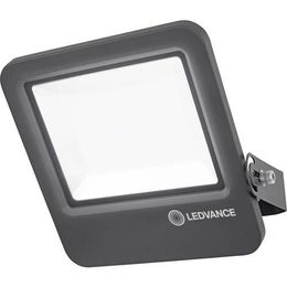 LEDVANCE Endura® 4058075206809 LED-Außenstrahler 100 W Neutralweiß