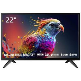 Dyon Enter 22 Pro X2 LED-TV 55 cm 22 Zoll EEK E (A - G) CI+, DVB-C, DVB-S2, DVB-T2, Full HD Schwarz