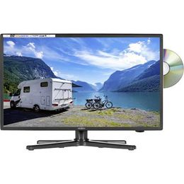 Reflexion LDDW220+ LED-TV 55 cm 22 Zoll EEK E (A - G) CI+, DVB-S, DVB-S2, DVB-C, DVB-T2 HD, Full HD, PVR ready Schwarz