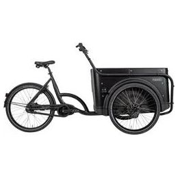 E-Bike Hawk BIKES "E-Cargo 3.2" E-Bikes Gr. 53cm, 26 Zoll (66,04cm), schwarz Pedelec, Elektrofahrrad für Damen u. Herren Bestseller