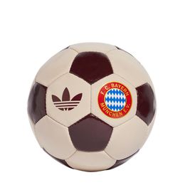 FC Bayern Fußball UCL 2024 - Beige - Adidas