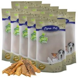LYRA PET Rindernackensehnen 10 kg