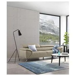 3-Sitzer NICOLETTI HOME Sofas Gr. B/H/T: 220cm x 72cm x 58cm, Leder Torrello, grau (fango) Breite 220 cm, inklusive Kopfteilverstellung