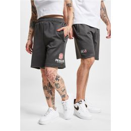 Shorts DEF "DEF DefShop x European League of Football Prague Lions 1 Shorts" Gr. XXL, US-Größen, blau (antracite) Herren Hosen