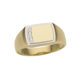 Siegelring Firetti "Schmuck Geschenk Gold 585 Herrenring Goldring" Fingerringe Gr. 22, 0,01 ct P2 = erkennbare Einschlüsse, Gelbgold 585-Diamanten, 4mm, goldfarben (gelbgoldfarben-weißgoldfarben) Herren mit Brillanten