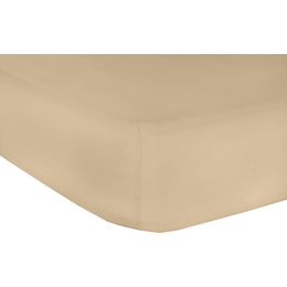 Spannbettlaken Mr. Sandman "Jersey Classic" Laken Gr. B/L: 180-200cm x 200cm, Single-Jersey, 180-200x200cm 25cm, braun (cappuccino) aus 100% Baumwolle