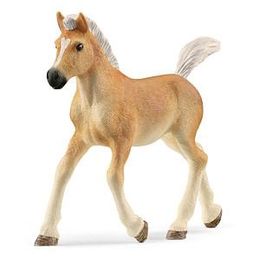 Schleich® Horse Club 13951 Haflinger Fohlen Spielfigur