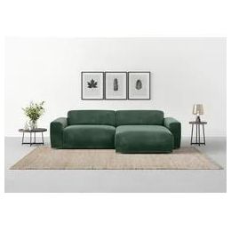 Ecksofa Trendmanufaktur "Braga, mit hochwertigem Kaltschaum, L-Form, in Cord erhältlich" Sofas Gr. B/H/T: 255cm x 72cm x 160cm, Breitcord RIBBON, Recamiere rechts, grün (winter moss) modernes Sofa, Couch mit hohem Sitzkomfort, 25572160 cm (BHT)