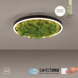 LED Deckenleuchte GREEN RITUS, 3-Stufen-Dimmer, echtes Moos, Ø39,3cm